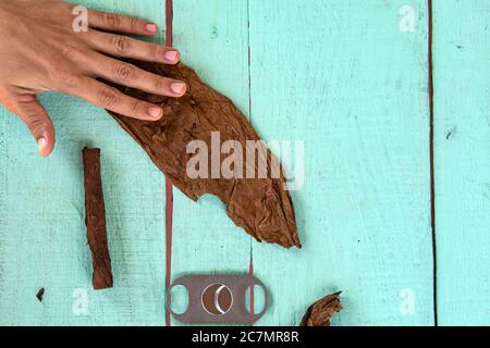 manufacturing process of a cuban cigar Stock Photo - Alamy