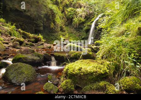 Hindhope Linn, Waterfall and trail Stock Photo - Alamy