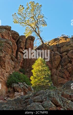 Pinnacles National Park in California Stock Photo - Alamy