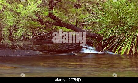 The Cascades Lefroy Brook, Pemberton Western Australia Stock Photo - Alamy