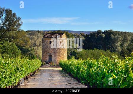 Medieval farmhouse and vineyards in Vaucluse at sunset time, Provence ...