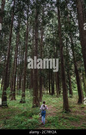 The Arboretum of the Warsaw University of Life Sciences botanical ...