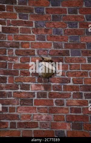 Misfire shell from soviet 152mm howitzer that hit the wall on 01.04. ...