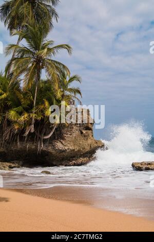 beach in Manzanillo in Costa Rica Stock Photo - Alamy
