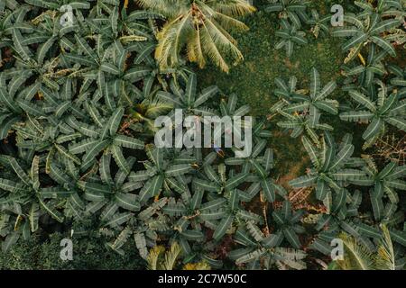 Amazing aerial view, drone shot, Mountain pass road with multiple ...