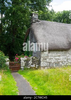 Thatched cottage, Buckland in the Moor, a pretty chocolate box village ...