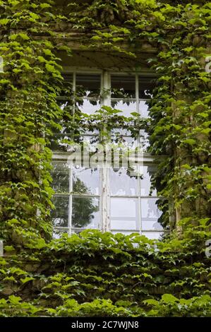 Detail of an amber window of a building Stock Photo - Alamy
