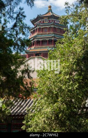 Historical chinese or asian temples across green forests Stock Photo ...