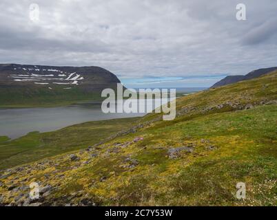 Latrar in Adalvik bay, on the Hornstrandir Peninsula on the ...