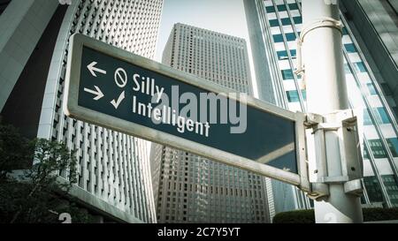 Street Sign the Direction Way to Intelligent versus Silly Stock Photo ...