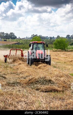 Farmer turning hay to dry before baling. England, UK Stock Photo - Alamy