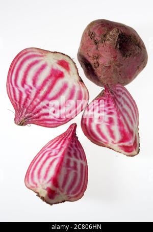 A freshly cut open Chioggia, or Candy Striped beetroot on a white light ...