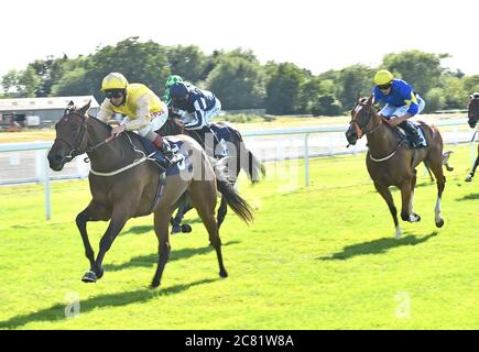 Mountain Brave ridden by Franny Norton wins The Visit attheraces.com ...