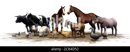 group of farm animals cow sheep horse donkey chicken lamb ewe goat ...