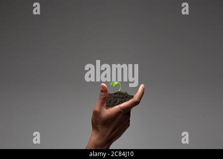 Growth is in the hands of humanity. a group of people holding plants ...