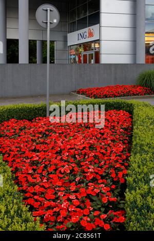 Headquarters of ING Bank in katowice Stock Photo - Alamy