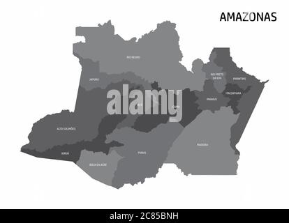 Brazil state Amazonas administrative map showing municipalities colored ...