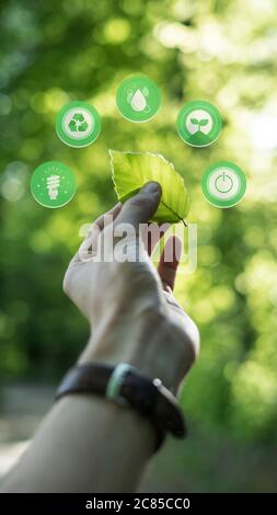 Green Tree leaf ecology nature element vector design Stock Photo - Alamy