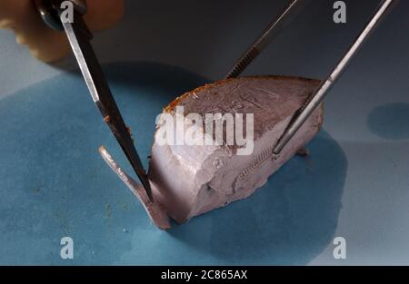 Cutting a small block of sodium in the laboratory to show how quickly ...