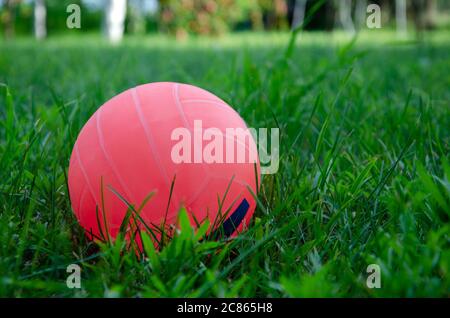 volleyball on green ground in motion with path Stock Photo - Alamy