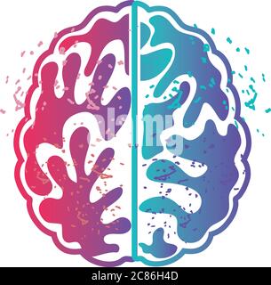 two hemispheres of the brain on a white background vector illustration ...