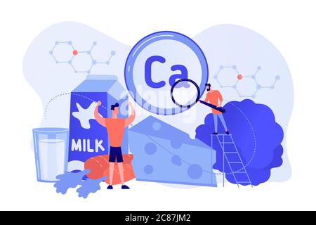Uses of Calcium abstract concept vector illustration Stock Vector Image ...