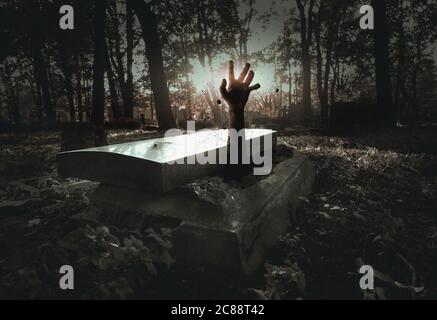Hand rising out from the grave Stock Photo - Alamy
