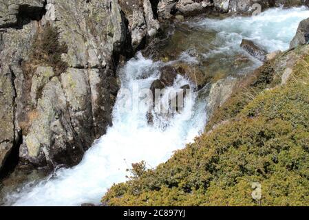 Little alpine waterfall at the Flüelapass in Switzerland Stock Photo ...