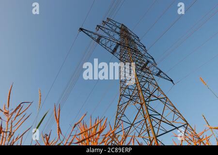 Orange pylon and steel cables of the suspension bridge, detail, Golden ...