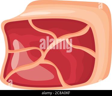 meat cut detailed style icon vector illustration design Stock Vector ...
