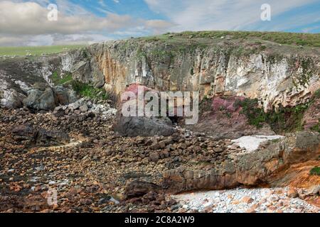 Rhoscolyn Head Holy Island on Anglesey Stock Photo - Alamy