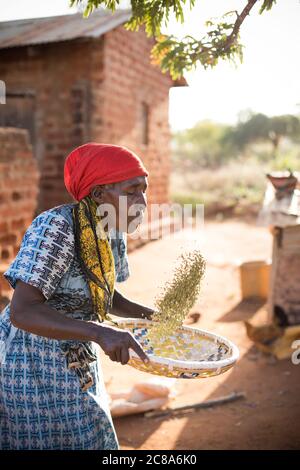 Winnowing - the process of removing chaff and debris from food - is ...