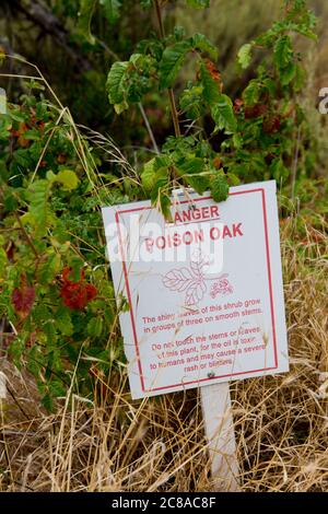 Poison Oak Warning Sign On Angel Island, California Stock Photo - Alamy