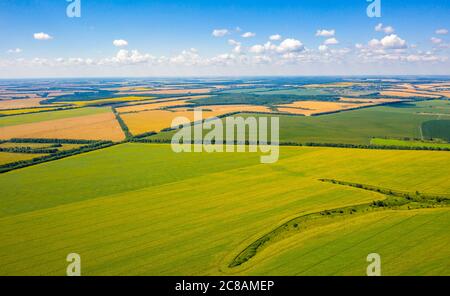 field geometry, top view of multi-colored fields as if drawn on a ruler ...