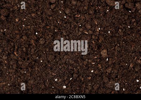 Soil texture.close-up of organic soil for backgrounds.Ground Texture ...
