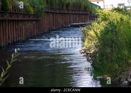 Here a fish ladder aid next to a hydroelectric power station. This ...