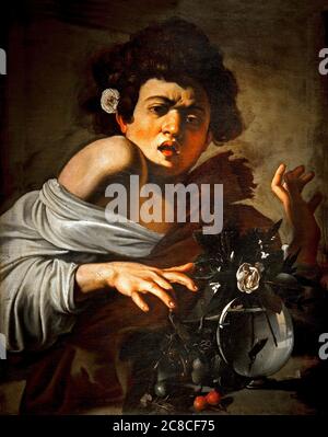 Boy Bitten by a Lizard by Michelangelo Merisi da Caravaggio (1571-1610 ...