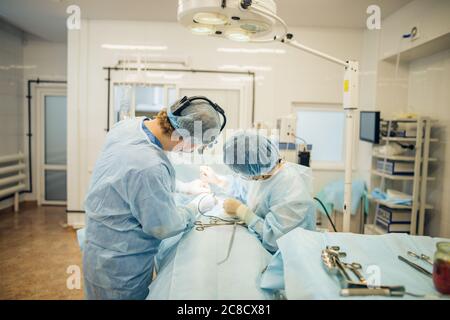 Wide view of a team of four surgeons operating on a patient in a dark ...