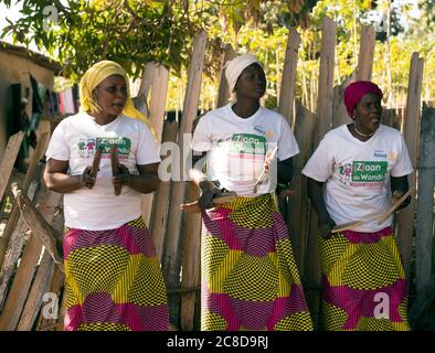 Indigenous Jola tribe women play traditional musical instruments during ...