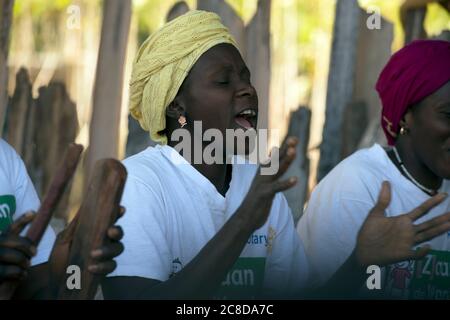 Indigenous Jola tribe women play traditional musical instruments during ...