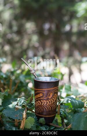 Terere drink, similar to mate but prepared with cold water. It is ...