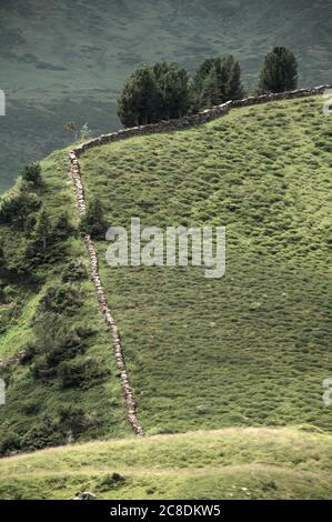 Stone wall on alpine pasture, Flumserberg in the Swiss Alps Stock Photo ...