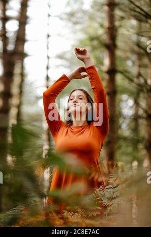 A low-angle view of a beautiful forest during winter Stock Photo - Alamy