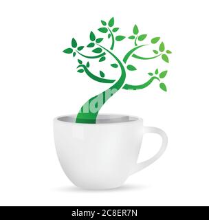 plant in a pot over white background. colorful design. vector ...