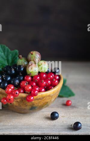 Fresh red and green gooseberry in wooden bowl on blue wooden background ...
