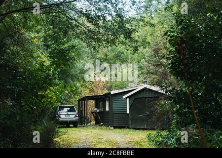 A secluded bush hut in the West Coast of the South Island, New Zealand ...