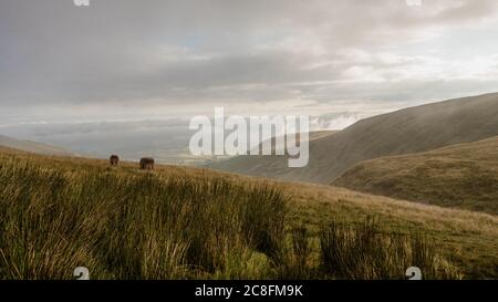 BRECON BEACONS, WALES - 24 JULY 2020: A misty Brecon Beacons as the sun ...