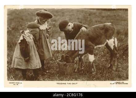 Farm Life early 1900s, Feeding Chickens Stock Photo - Alamy