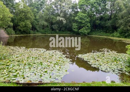 WW1 mine crater Pool of Peace / Lone Tree Crater / Spanbroekmolenkrater ...