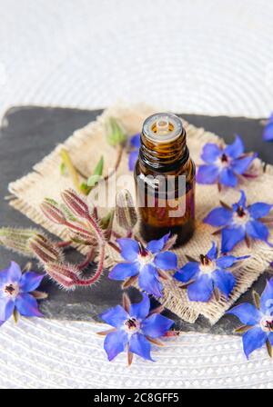 A selective focus shot of white blossoms on a tree Stock Photo - Alamy